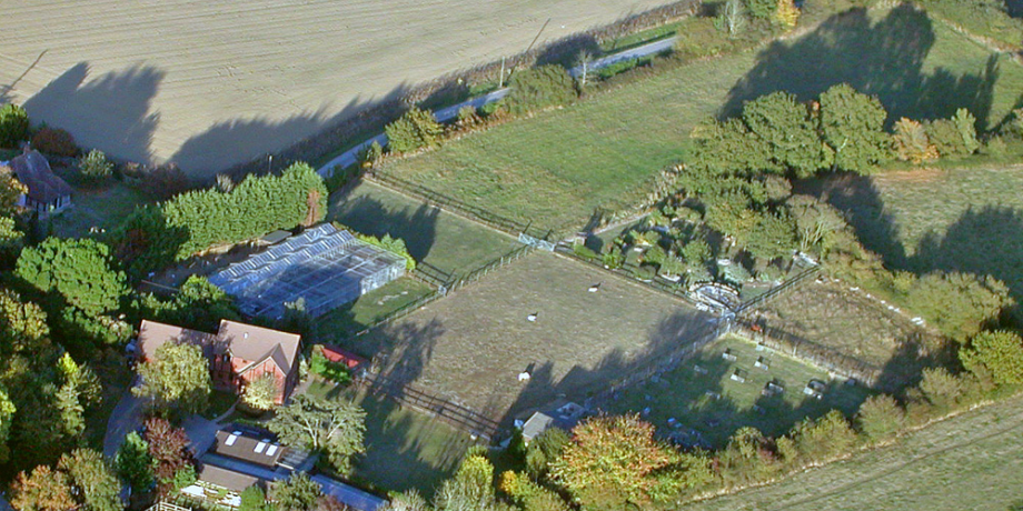 The Cat and Rabbit Rescue Centre profile | KindLink